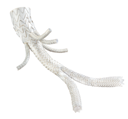 Vascular Surgery Research - Department of Surgery