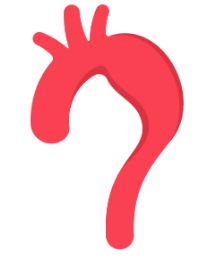 Vascular Surgery Research - Department of Surgery